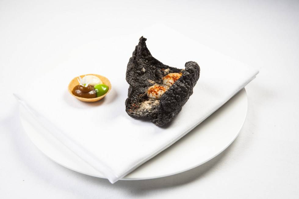 Squid-Ink-Cracker | The Assistant Room